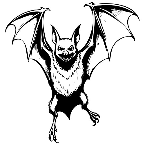 Silhouette of bat jump drawing realistic hand Vector Image
