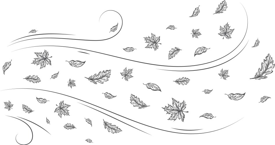 Autumn leaves outline sketch blown by a cold gust Vector Image