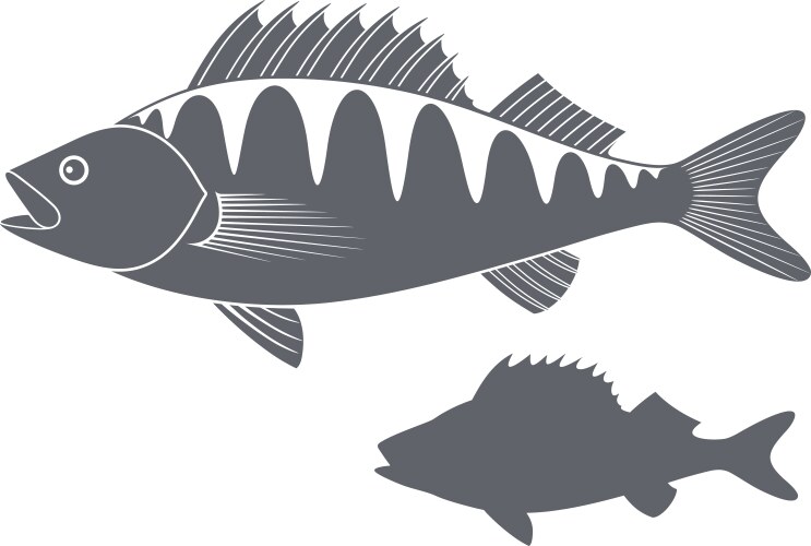 Perch Royalty Free Vector Image - VectorStock