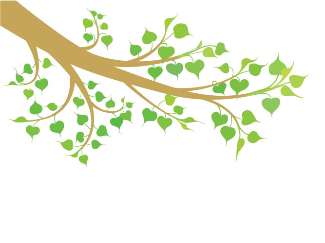 Bodhi Tree Vector Images (over 350)