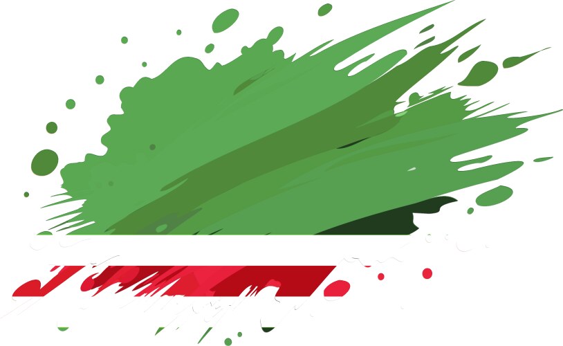 Costa Rica Flag Painted With Grunge Brush Stroke Vector Image