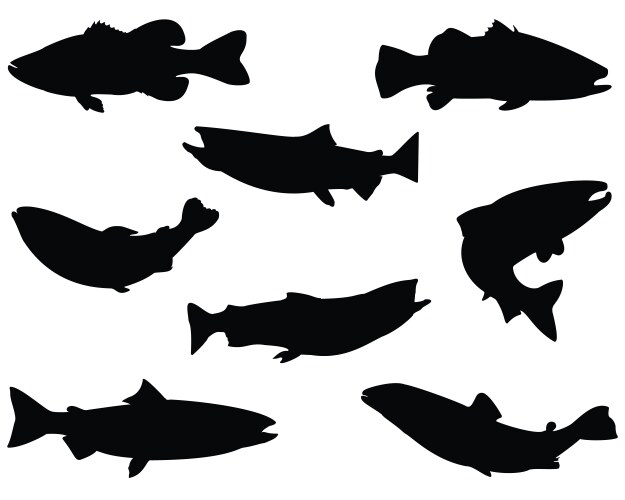 Goldfish or common fish silhouette Royalty Free Vector Image