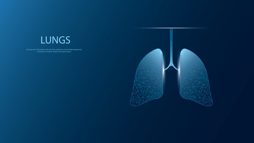 Lung Vector Images (over 48,000)