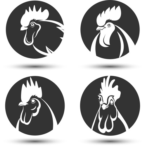 Chicken Head Vector Images (over 8,900)