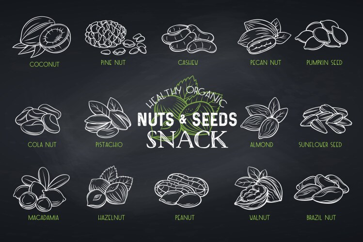 Green chalkboard with team communication drawing Vector Image