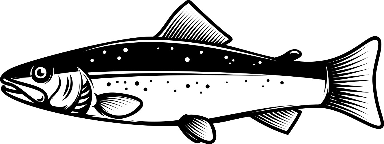 Cutthroat trout fish Royalty Free Vector Image
