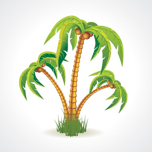Two beautiful palm trees Royalty Free Vector Image