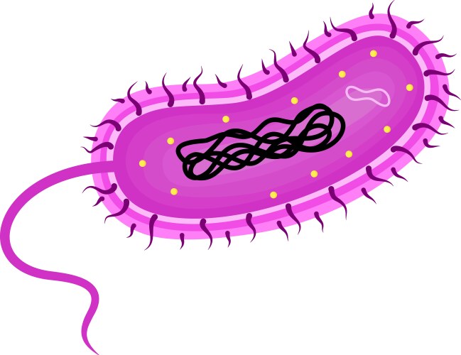 Bacterial Cell Vector Images (over 7,000)