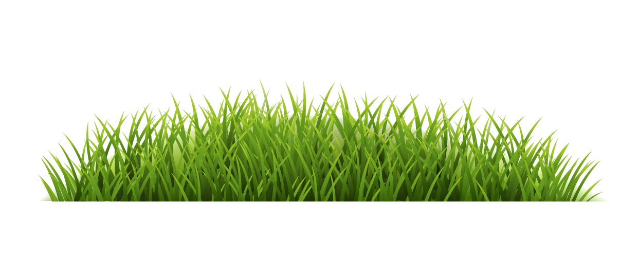 Wheat and grass Royalty Free Vector Image - VectorStock