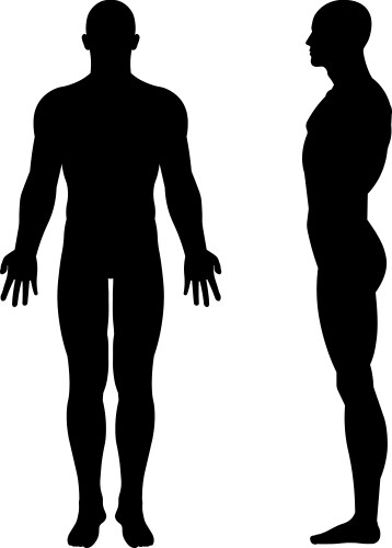 Human Side Silhouette Vector Images (over 5,600)