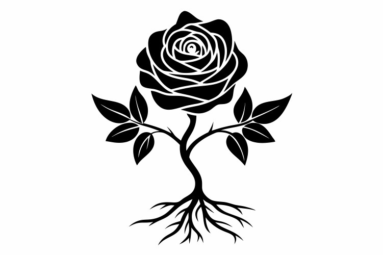 Rose flower root silhouette m Royalty Free Vector Image
