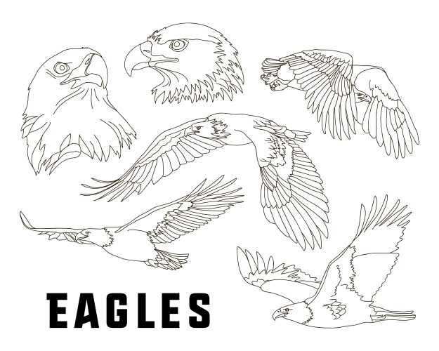 Eagles Vector Images (over 91,000)