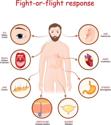 Fight or Flight Vector Images (over 2,100)