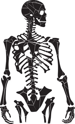 Split spine skeleton symbol fragmented fusion Vector Image