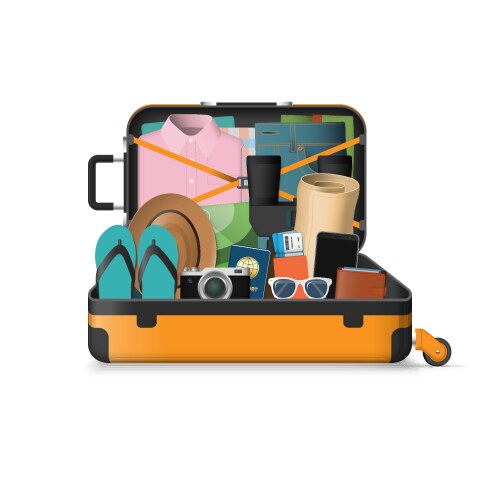 Open suitcase icon outline style Royalty Free Vector Image