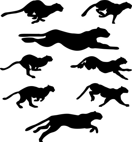 Wildcats Vector Images (over 13,000)