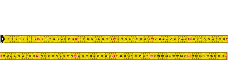 Ruler Actual Size 116