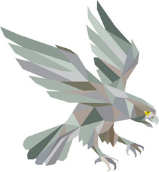 Falcon Vector Images (over 27,000)