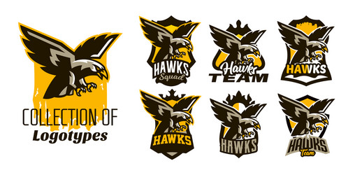Colorful logo sticker emblem of a hawk head Vector Image