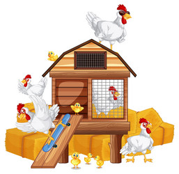 Chicken cartoon Royalty Free Vector Image - VectorStock