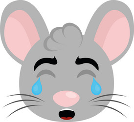 Mouse Crying Vector Images (over 170)