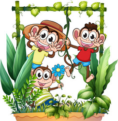 Three Monkeys Vector Images (over 370)