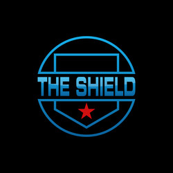 Shield creative business logo design Royalty Free Vector