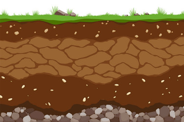 Surface horizons of soil layers earth structure Vector Image