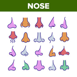 Nose human face part nosey breathing smell Vector Image