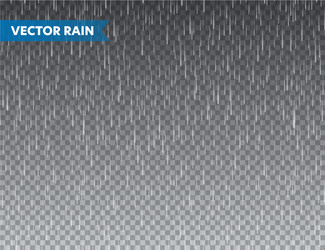 Realistic rain texture on transparent background Vector Image