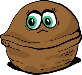 Walnut Eyes Vector Images (over 260)