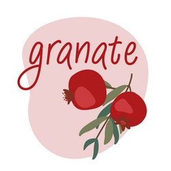 Pomegranate Granate Logo Vector Images (29)
