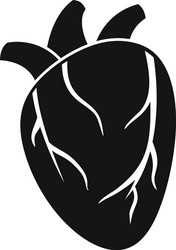 Cardiac Muscle Vector Images (over 1,800)