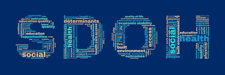 Sdoh - social determinants of health - infographic Sdoh - social determinants of health - infographic
