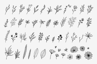 Wildflowers and flowers thin line collection hand Vector Image