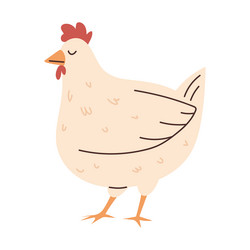 Hen Vector Images (over 35,000)