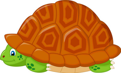 Turtle cartoon Royalty Free Vector Image - VectorStock