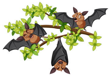 Many bats cartoon on the trees Royalty Free Vector Image
