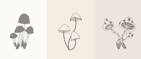 Mycelium Vector Images (over 1,000)