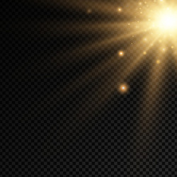 Sunlight with bright explosion flare sun rays Vector Image