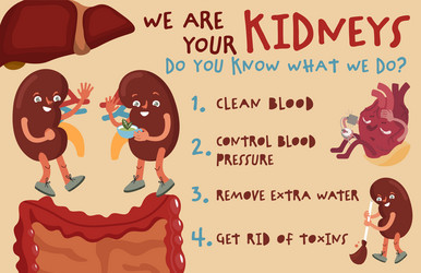 World kidney day poster for awareness prevention Vector Image