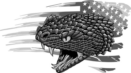 Monochromatic cobra snake mascot with american Vector Image