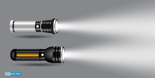 Set of realistic flashlights with beams or handy Vector Image