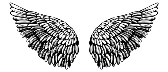 Angel wings bird collection cartoon hand Vector Image
