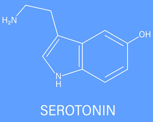 Serotonin molecule skeletal formula Royalty Free Vector