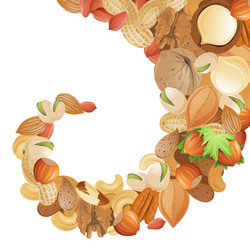 Nuts background Royalty Free Vector Image - VectorStock