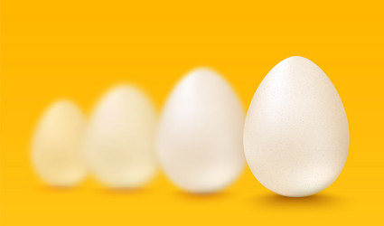 Set realistic white eggs Royalty Free Vector Image