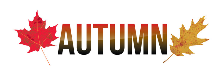 Autumn theme Royalty Free Vector Image - VectorStock