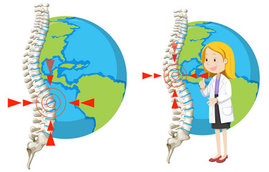 Spinal Nerve Animation