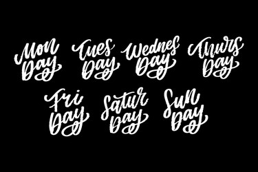 Handwritten week days and symbols set ink font Vector Image